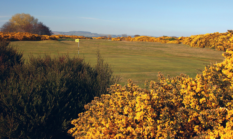 Montrose Links - Midlands Golfer