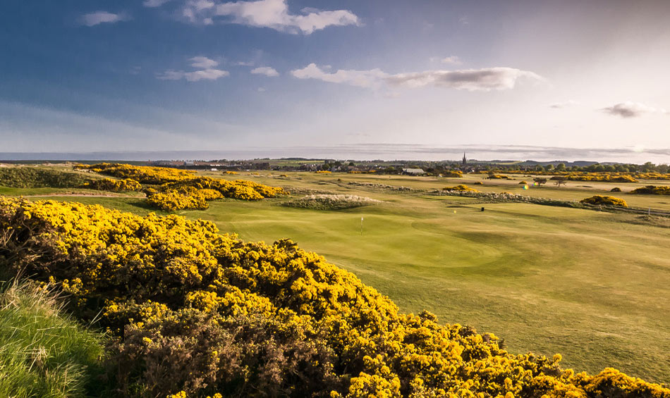 Montrose Links - Midlands Golfer